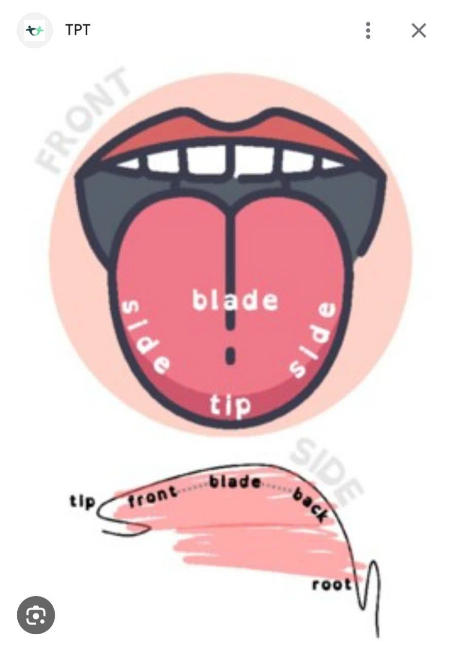 Master tongue control for natural, faster speech – Begin life at forty